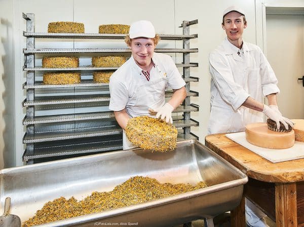 Käsehütte Maria Taferl – Einzigartiger Genuss | Gastro.News